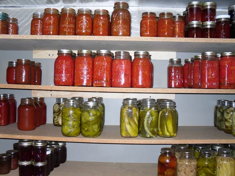 The Redneck Homestead Family: Root cellar gets shelving & canned goods